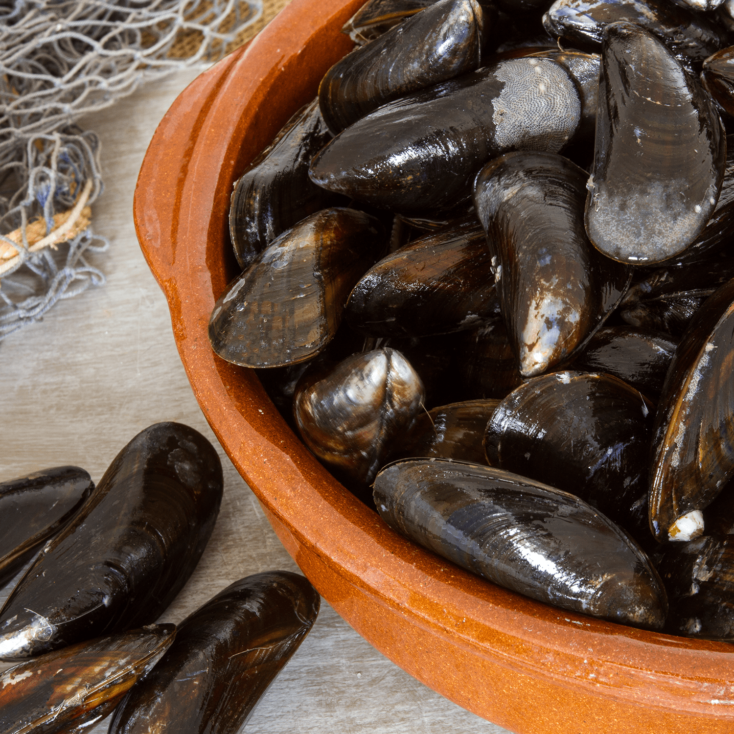 Mussels & Scallops - Hook to Fork