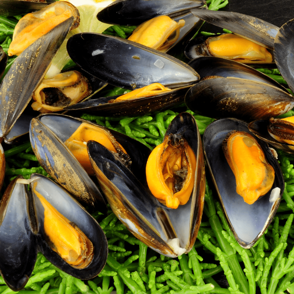 Mussels & Scallops - Hook to Fork