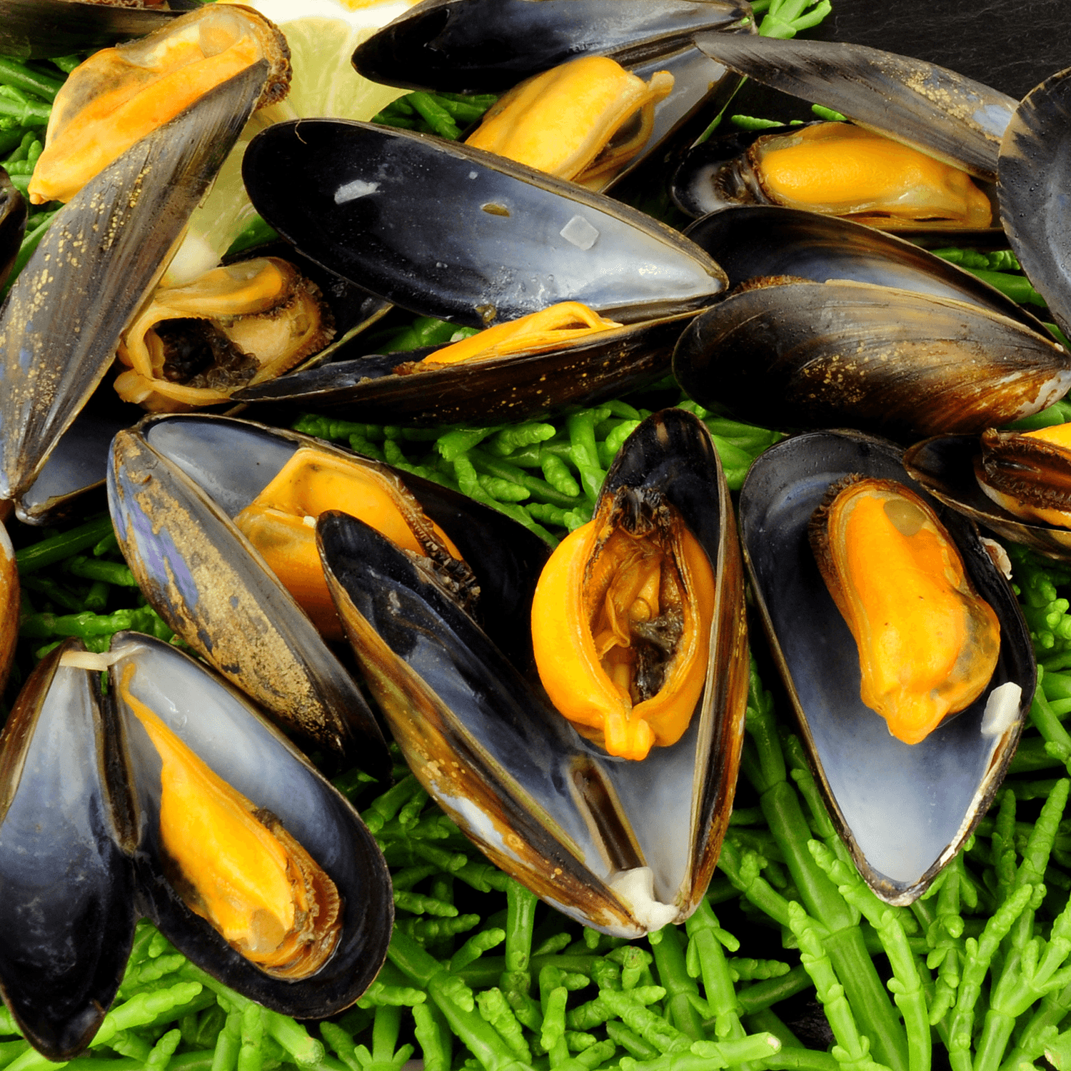 Mussels & Scallops - Hook to Fork