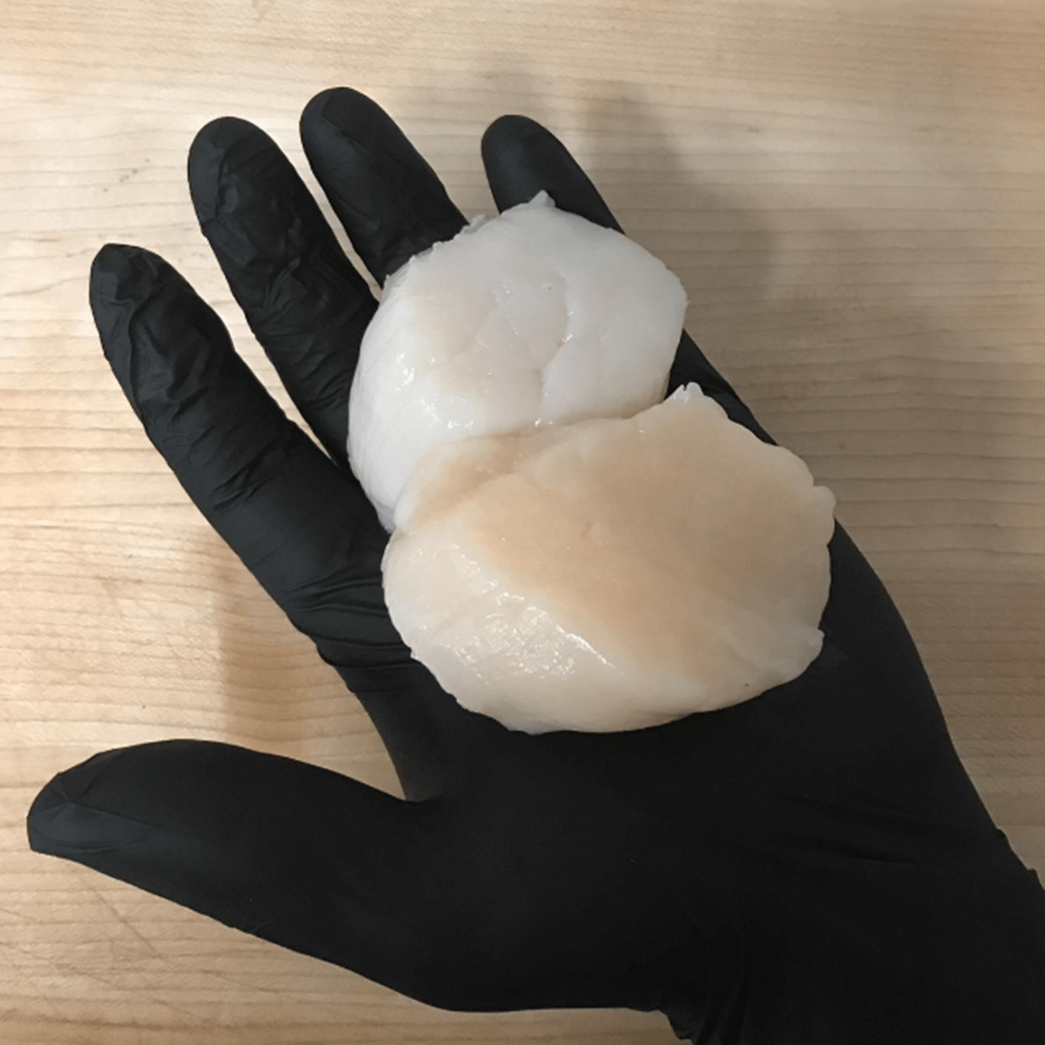 Mussels & Scallops - Hook to Fork